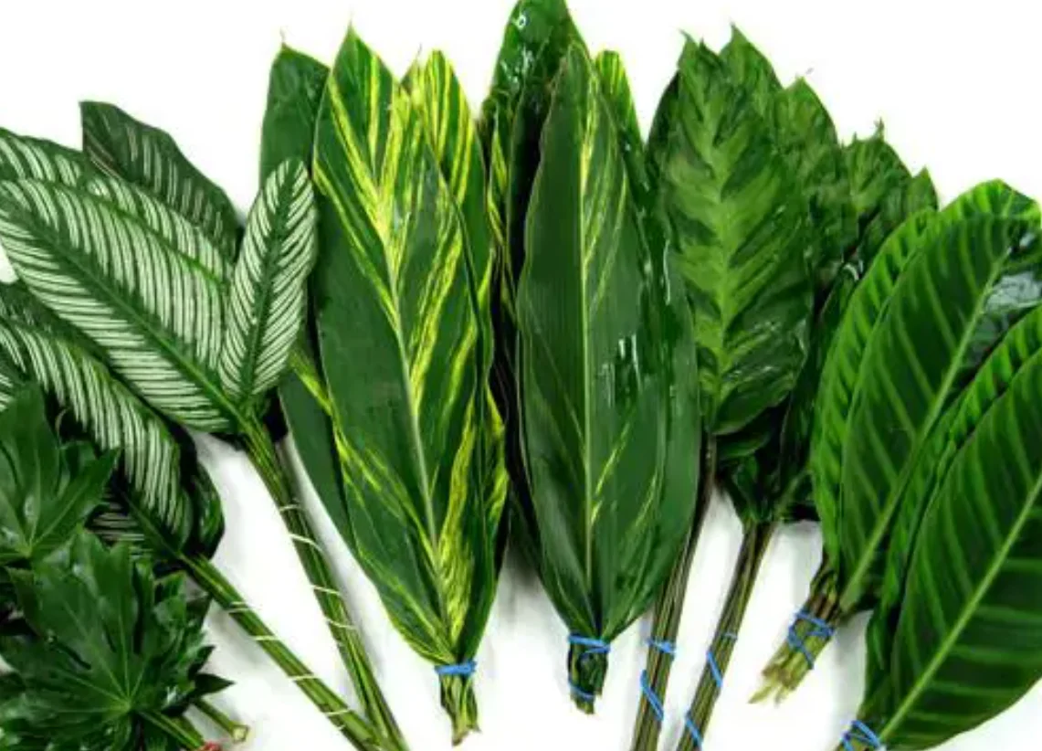 Eryngium Blue Bell By the Box 120 stems